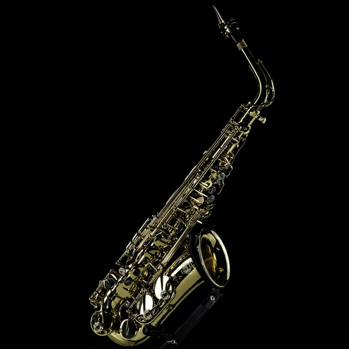 Saxofone alto profissional W&N A330L – Weril